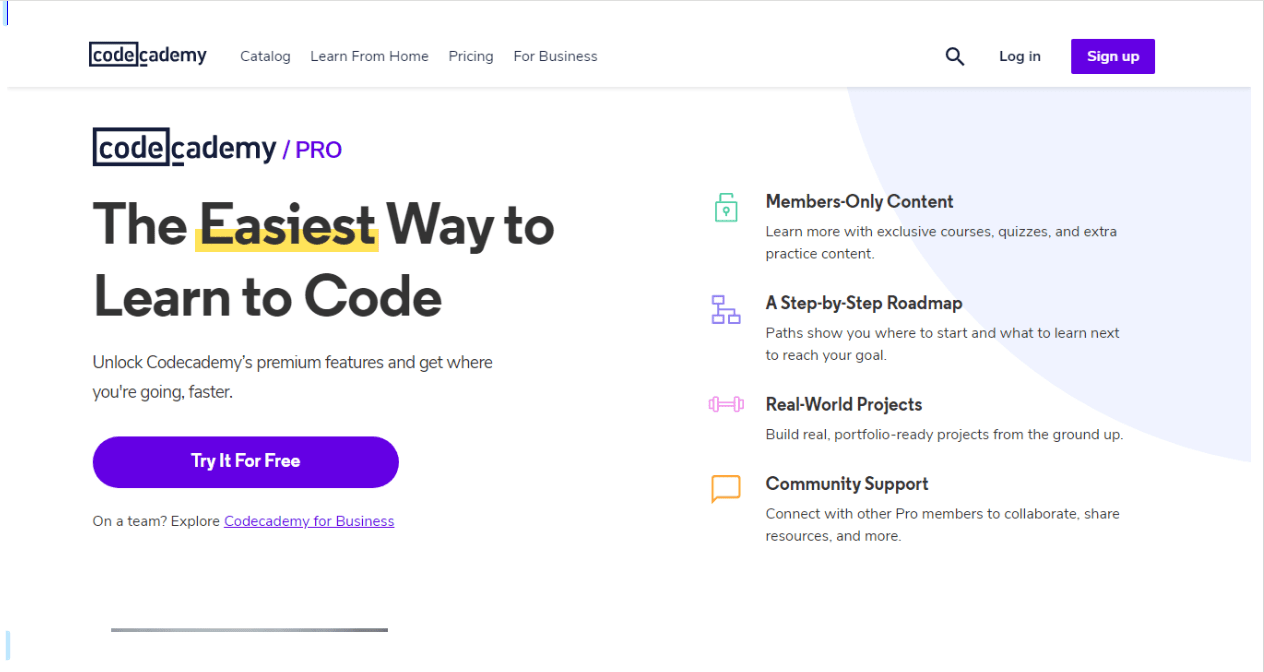 CodeCademy-Overview - DigiExe