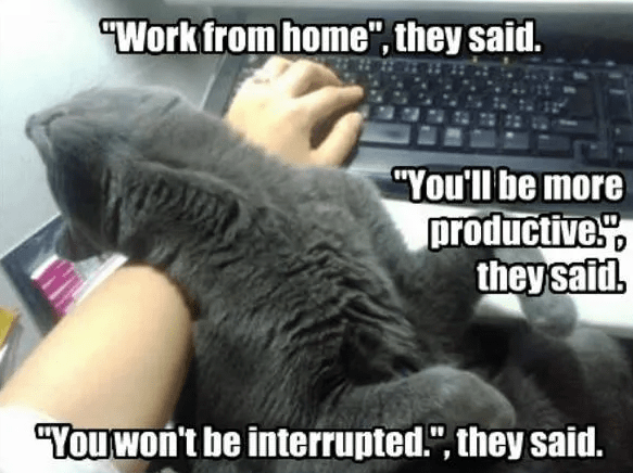 Distractions! Distractions! Distractions! Everywhere - DigiExe