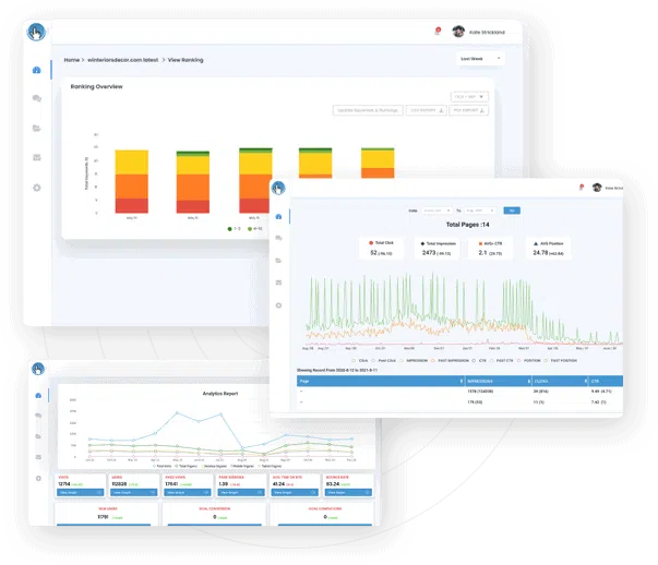 Seo Services India - DigiExe